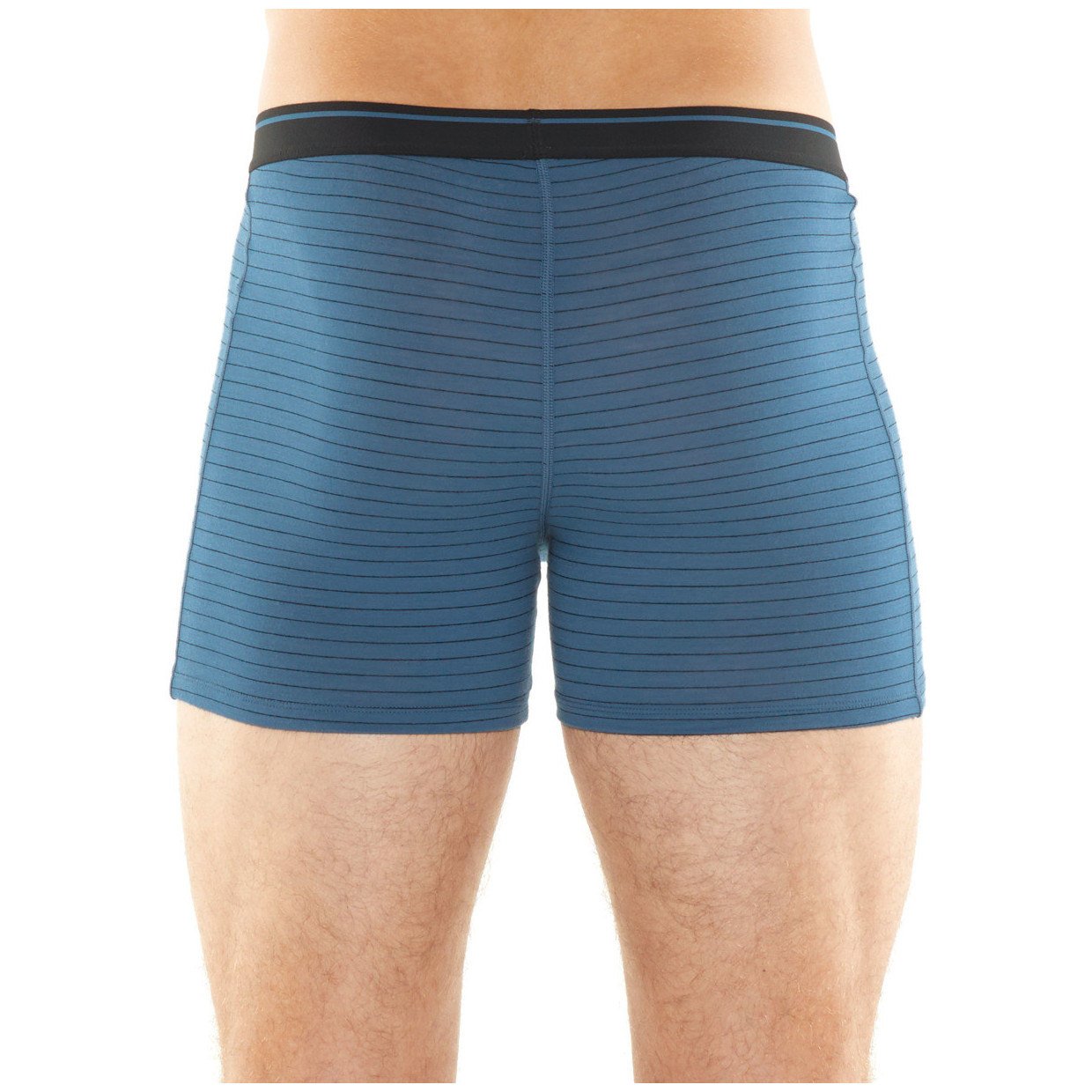 Icebreaker Mens Anatomica Boxers (2018) férfi boxer | 4Camping.hu